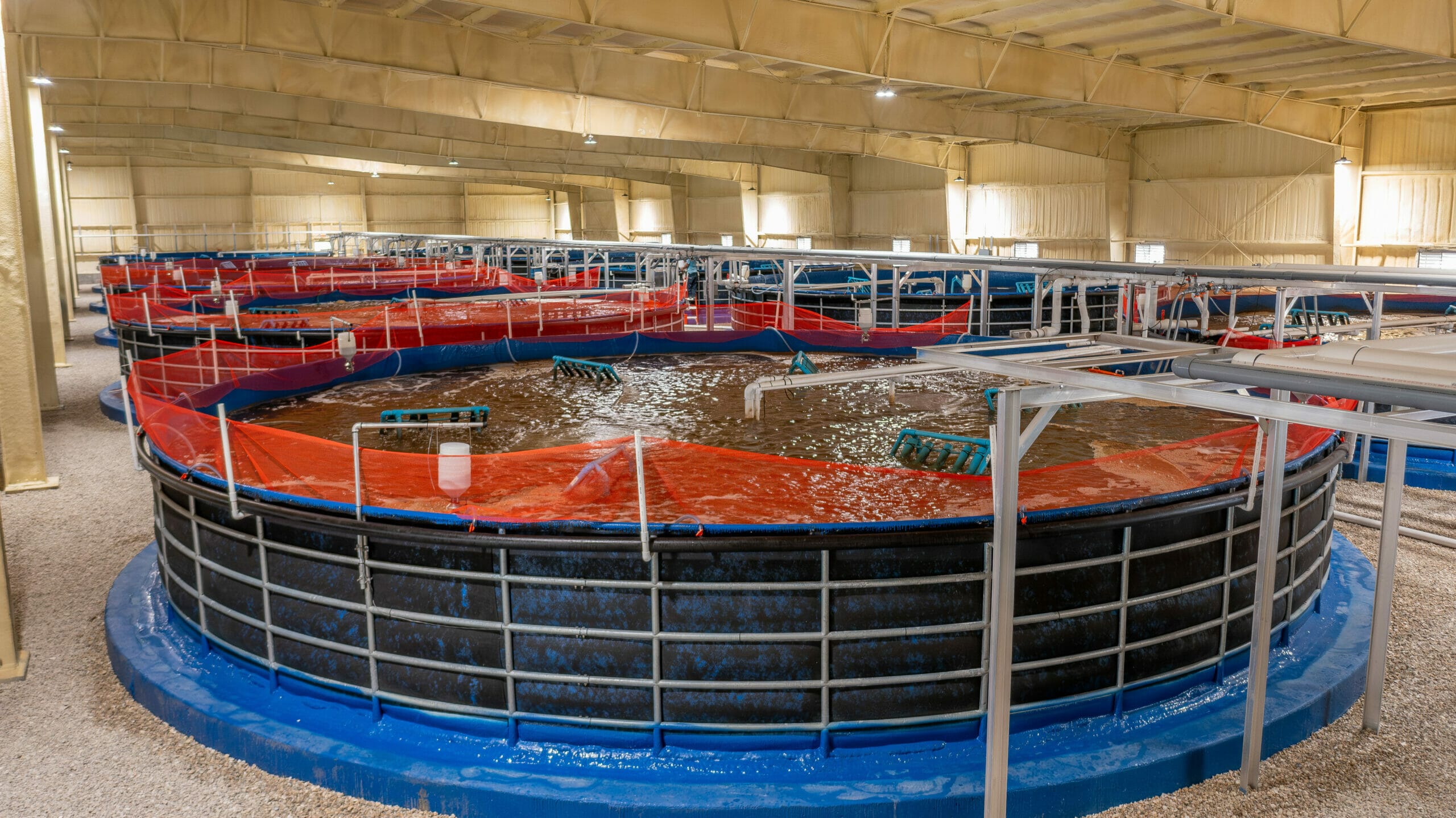 Shrimp farm in Indiantown, FL - MBMI Metal Buildings